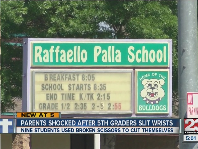 Nine Palla Elementary students cut wrists and arms in class Monday ...