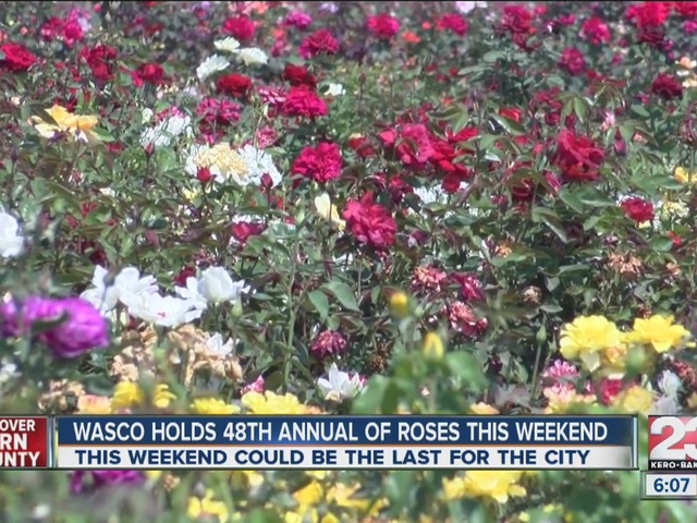 48th Annual Festival of Roses could be last for Wasco - turnto23.com ...